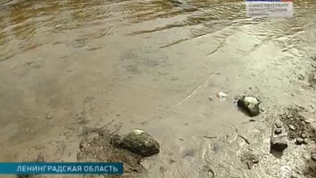 "Следы Гипербореи". Вести - Санкт-Петербург. 2016 г.