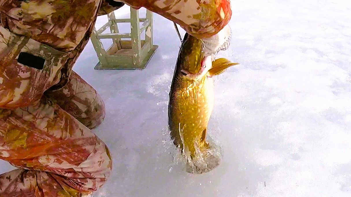 ХОЧУ БОЛЬШУЮ ЩУКУ. Нырок в лунку! #ИИ