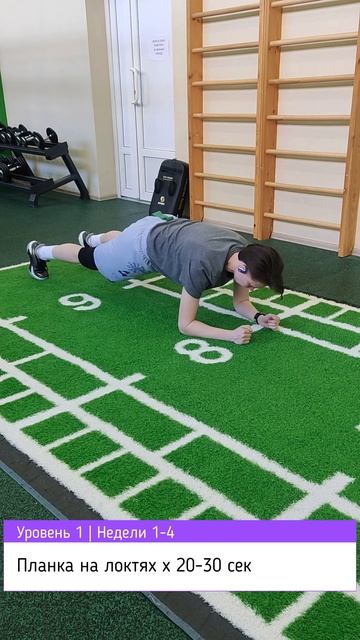 1.1. Планка на локтях