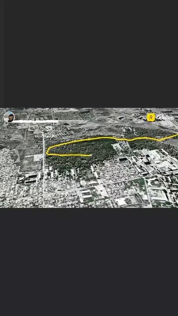 Запетлял лыжню