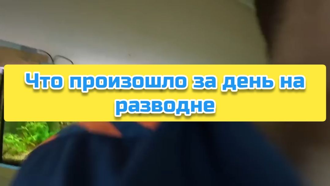Что произошло за день на разводне