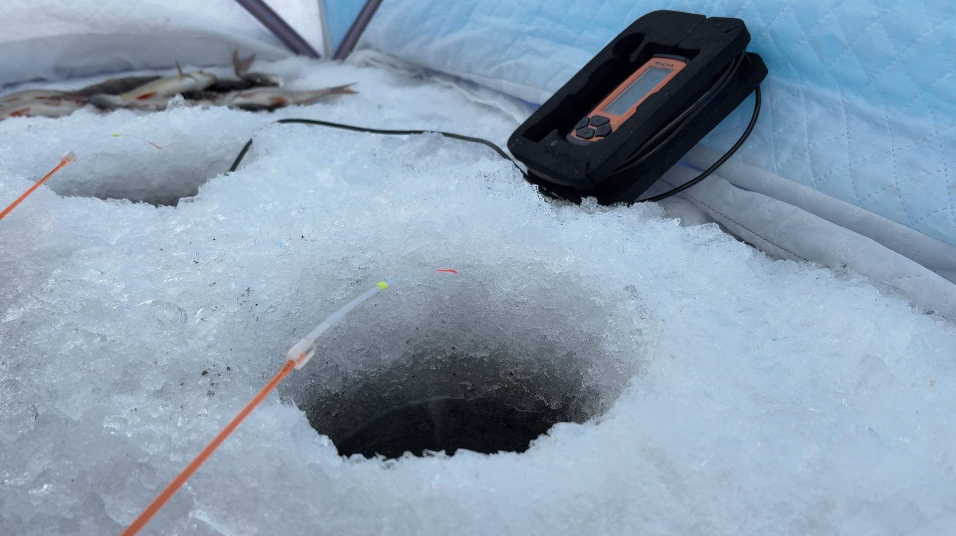 Я ЕЁ НАШЁЛ!!! ЗДЕСЬ ЗАГИБАЮТ КИВОК И УТАСКИВАЮТ УДОЧКИ!