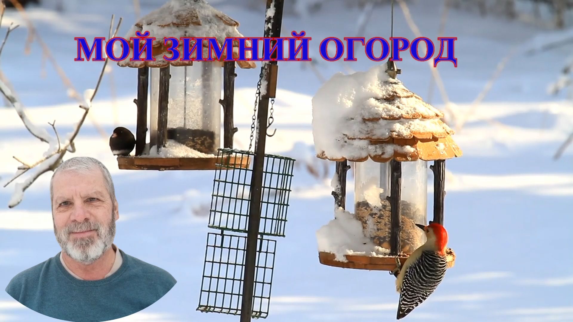 Огород. Скоро Новый Год!