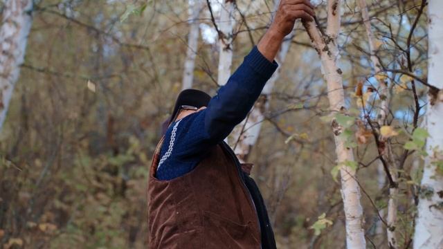 Сохраняй Алтай. Алтайская свадьба. Фестиваль геобрендов «Земля открытий»