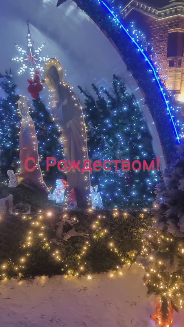С Рождеством!#shorts