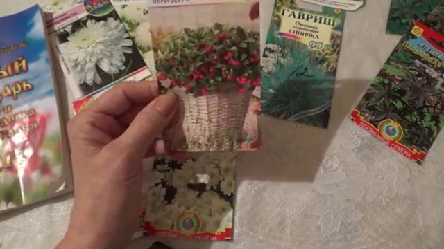 2115.  Посейте редкие многолетники.