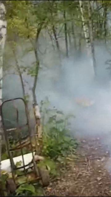 Применение ПуВРД для дизинфекции и дизинсекции . Часть 1 .Читать в описании .