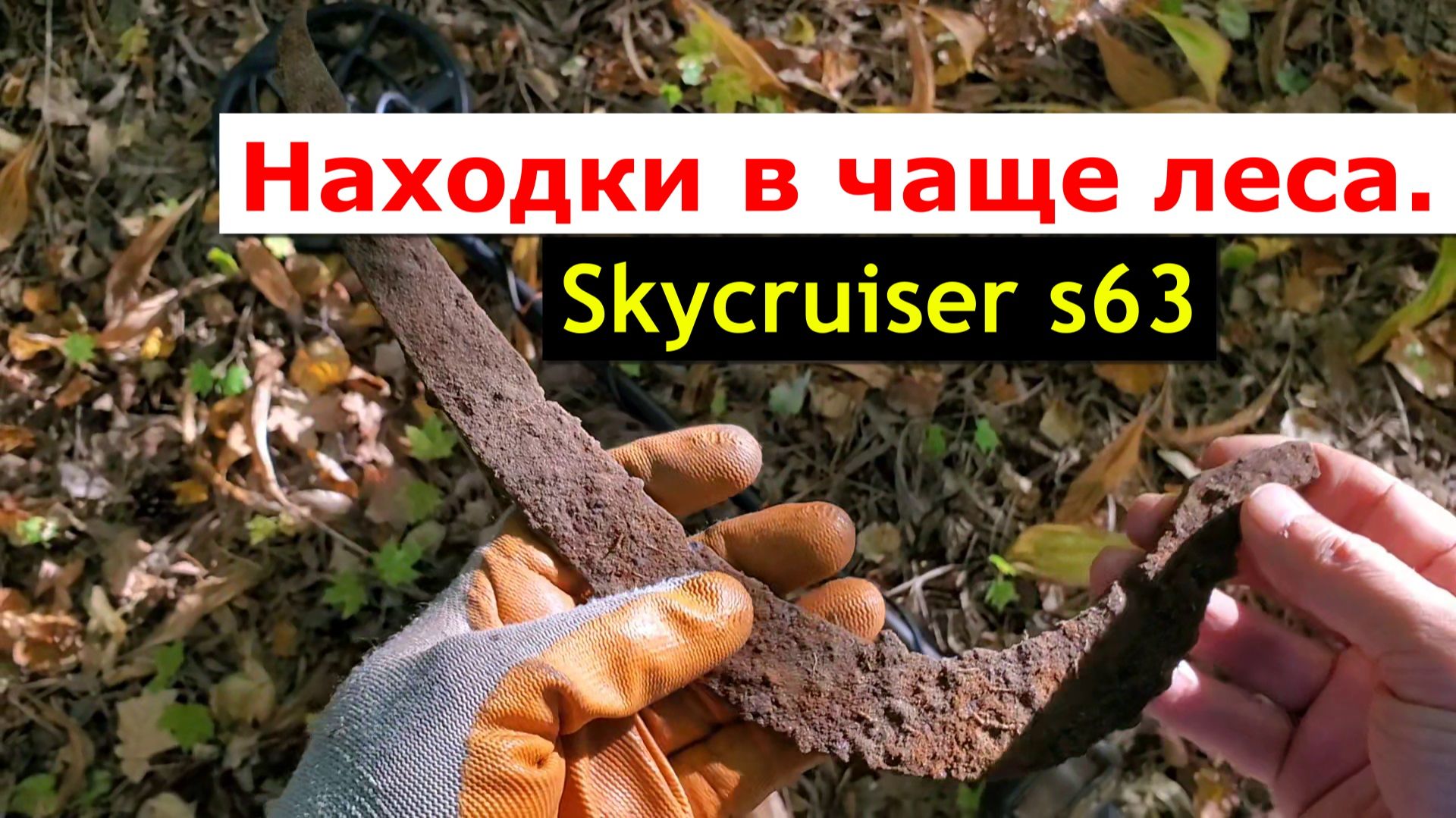 Находки в глубине леса.