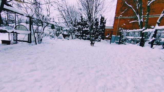 2026.01.06. Миша на спорте ...