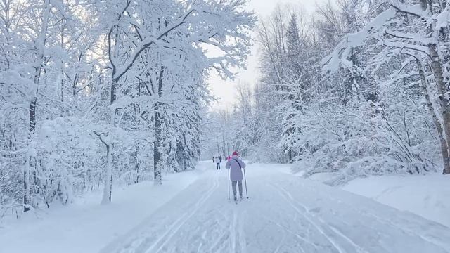 Лыжная прогулка в Баболовском парке