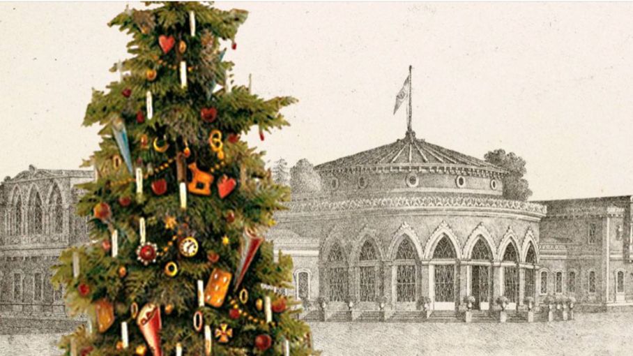 В Санкт-Петербурге впервые наряжена общественная рождественская елка