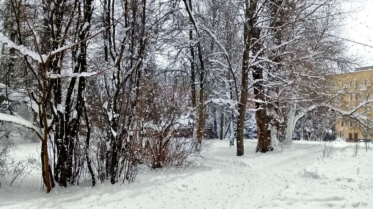 Снег пошел...