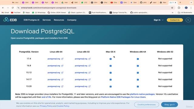 3 -Downloading and installing PostgreSQL (Windows, Mac, Linux)