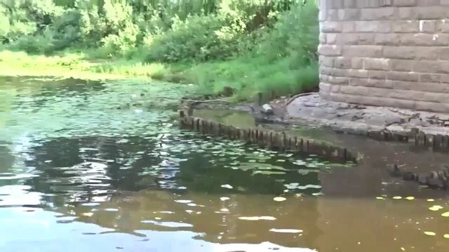 Вологда Речные прогулки