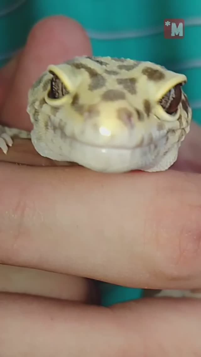 Кто посмотрел тому сегодня будет удача. Сегодня вам подмигнула удача