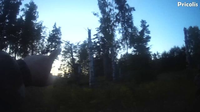 По следам бывшей деревни Третьяково