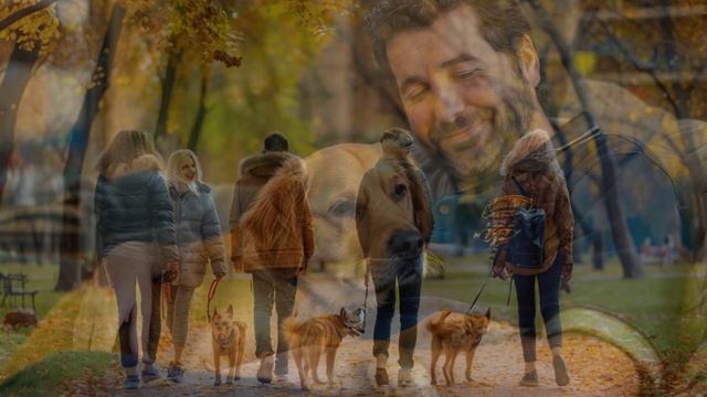 Психическое здоровье с собаками: как они помогают?