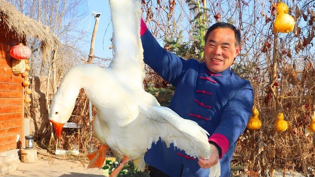 Из целого гуся получается самое вкусное горячее блюдо! Кладем огромные куски в кипящий острый бульон