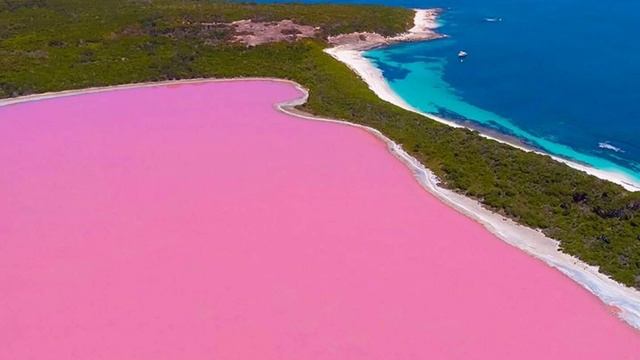 Розовые озёра