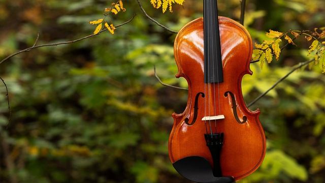 Современная классическая музыка на скрипке | Ecveezer - Our Time