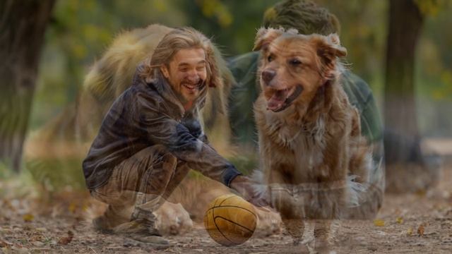 Преодоление зависимости с собаками