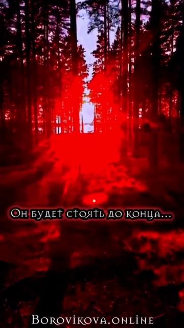 #эмпат #осознанность #эмпатия #эмпаты #эмпатим