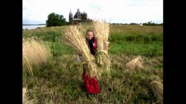 Колосилось поле   st Werema54music al