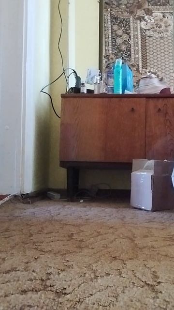 я🫵 наплёл паутину у бабы🫡😶🌫️❤️🔥 Лены в комнате! 🫠как человек-паук!