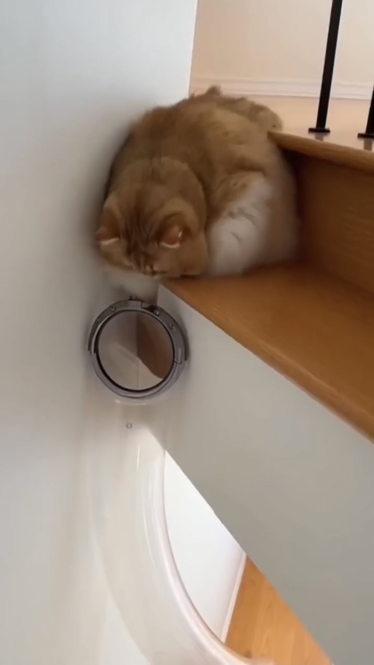 Кото жидкость 💧