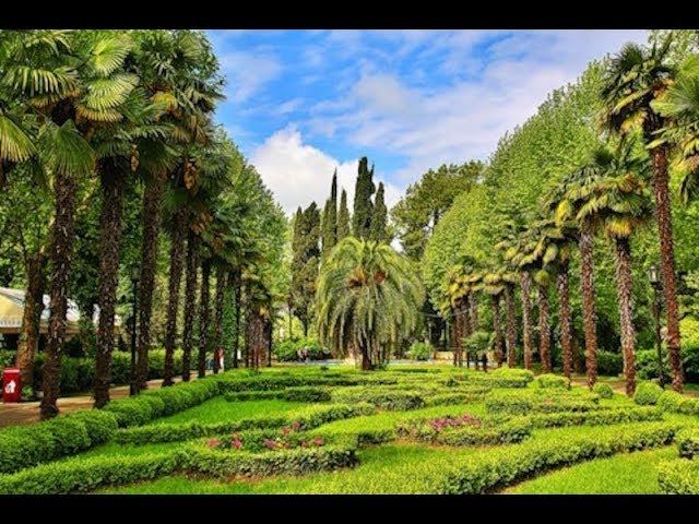 Сочи. Поход в Дендрарий.