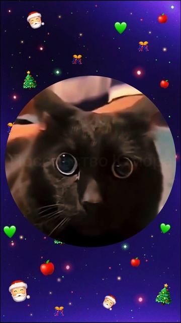 Распаковка подарков 🤣