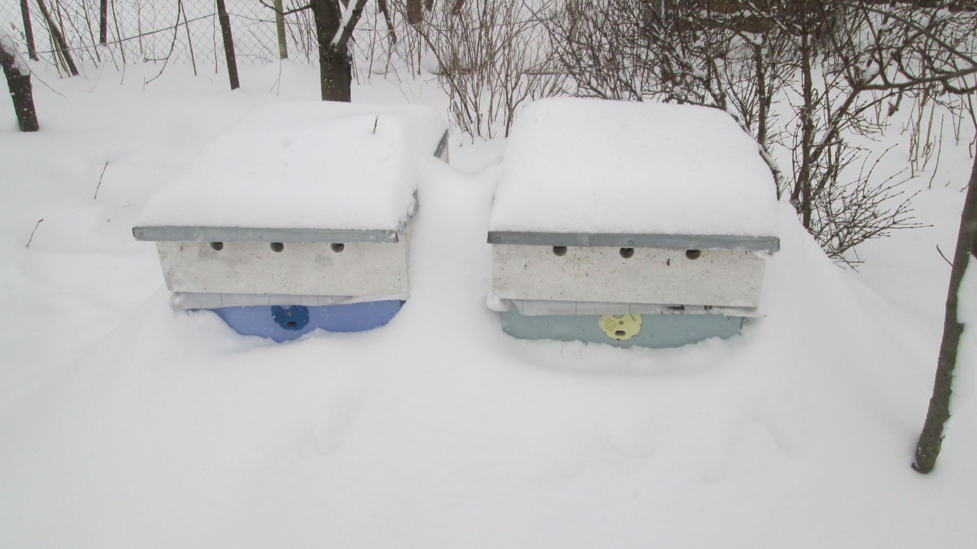 Зимовка пчел на улице в средней полосе