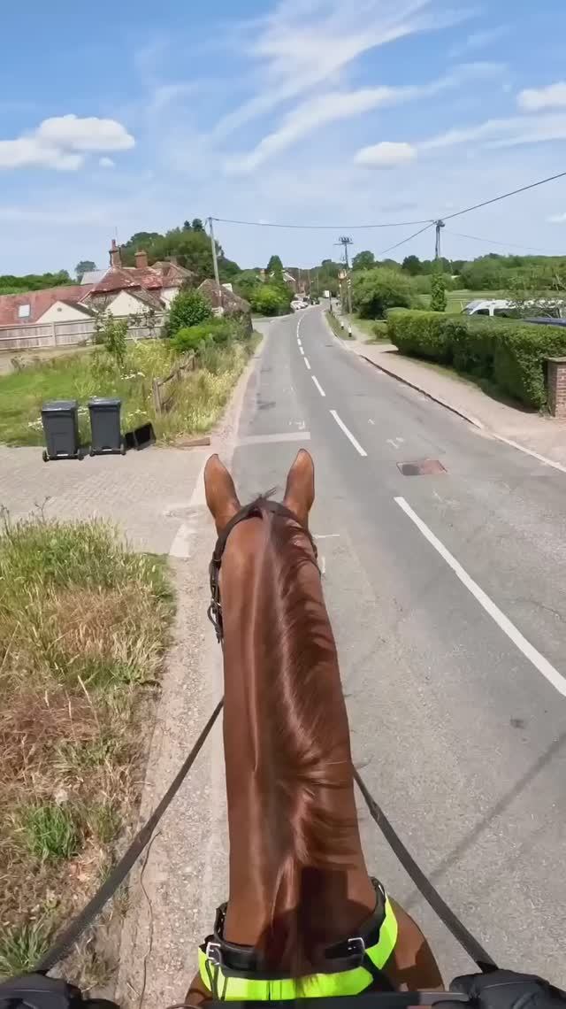 Max the Scared Horse - Ozzy Man Reviews