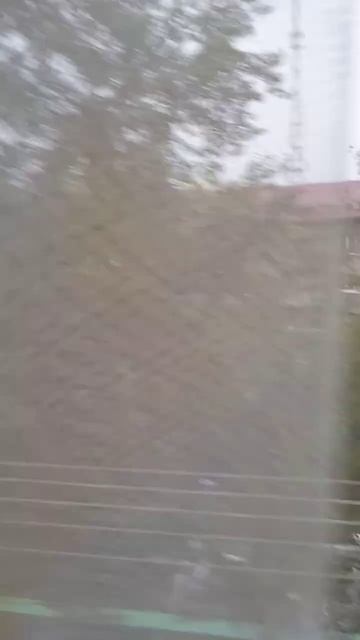 Погода в Омске   2022 года летом