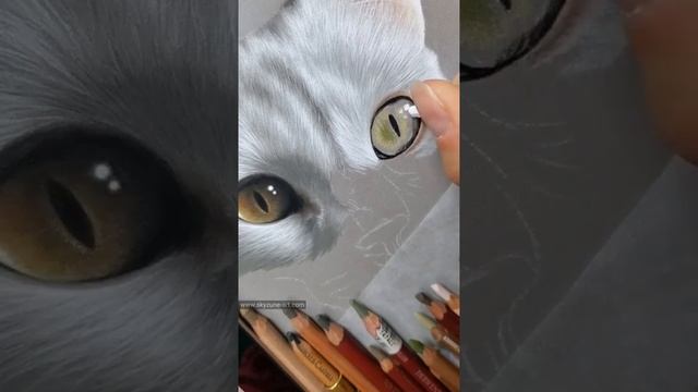 Процесс рисования кота карандашами🐈
