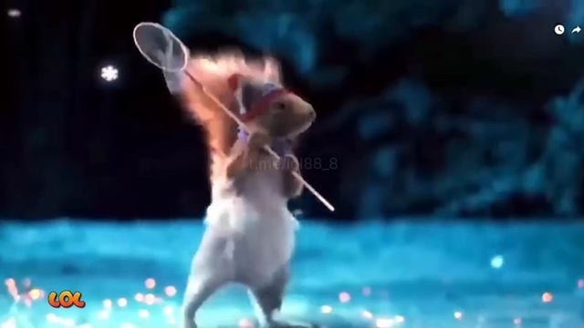 Белочка, не мучай меня