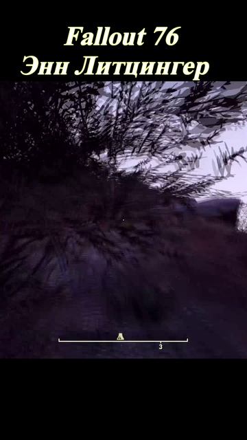 Fallout 76 Энн Литцингер где искать