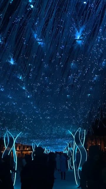 Новогодние локации Петербурга