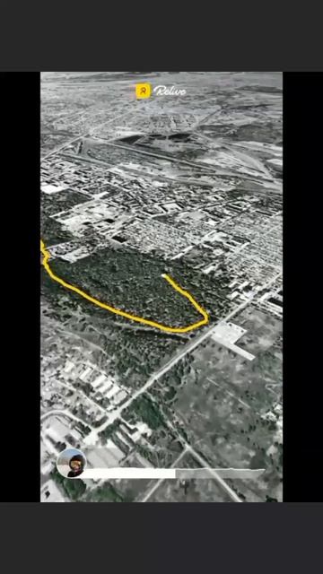 3 петли нарисовал