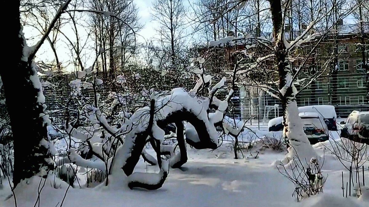 Яркое солнце