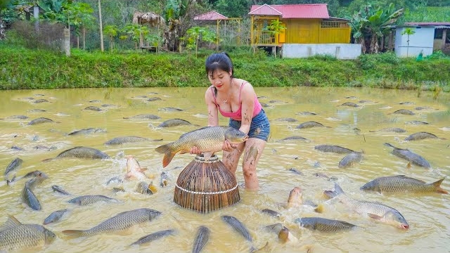 Наловила много рыбы, отправляюсь продавать ее на сельский рынок. Курица вывела цыплят. Нхат. Вьетнам