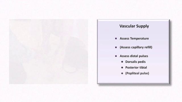 5_The Diabetic Foot Exam Eric Strong