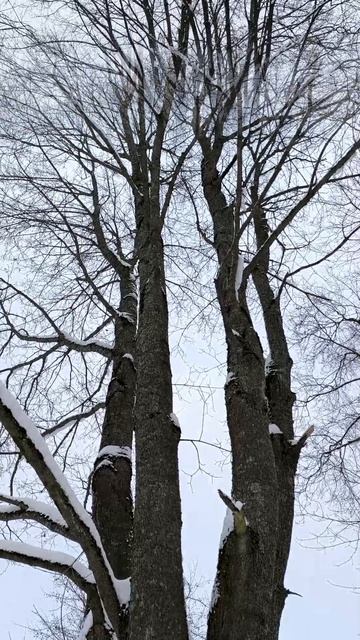 Белое безмолвие: зимний берег Обнинска