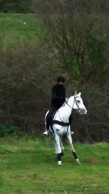 🐎 Впечатляющий трюк: лошадь с всадником демонстрирует бег боком!