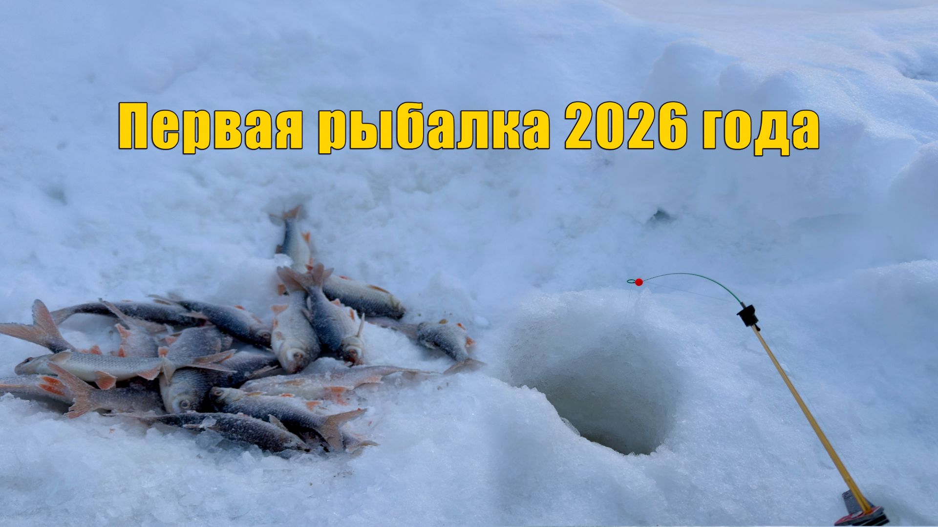 Сезон 2026 открыт! Первые эмоции, первые поклевки. Зимняя рыбалка 2026.