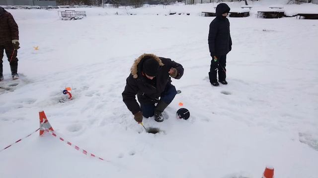 Светлые Горы Форель 08.01.2026г.