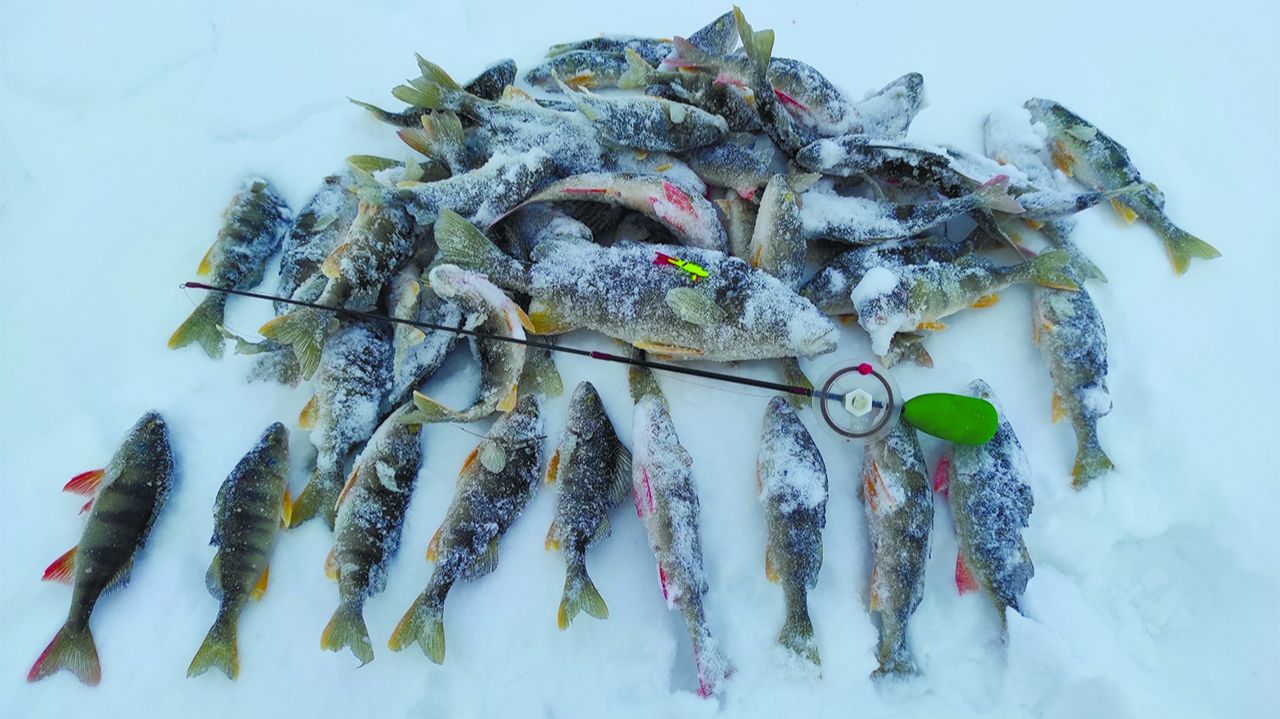 ПЕРВАЯ РЫБАЛКА В 2026.