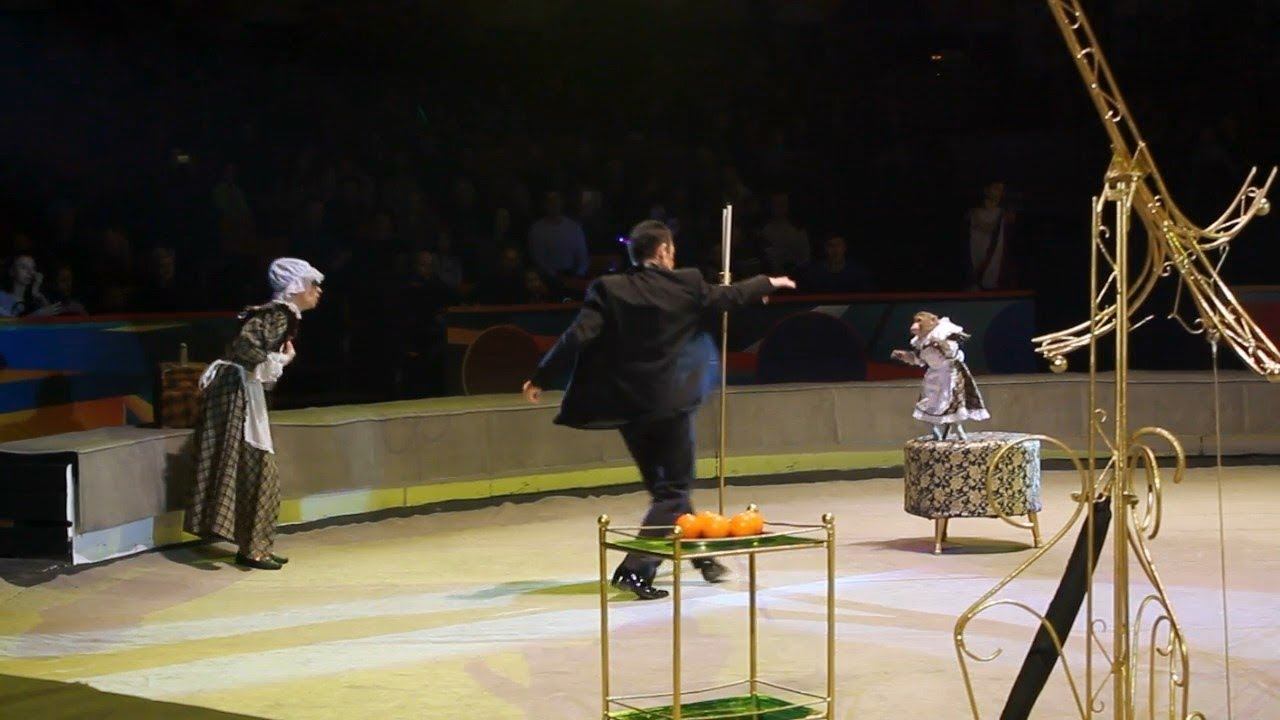 Цирк в Автово. Руслан и Галина Гугкаевы.