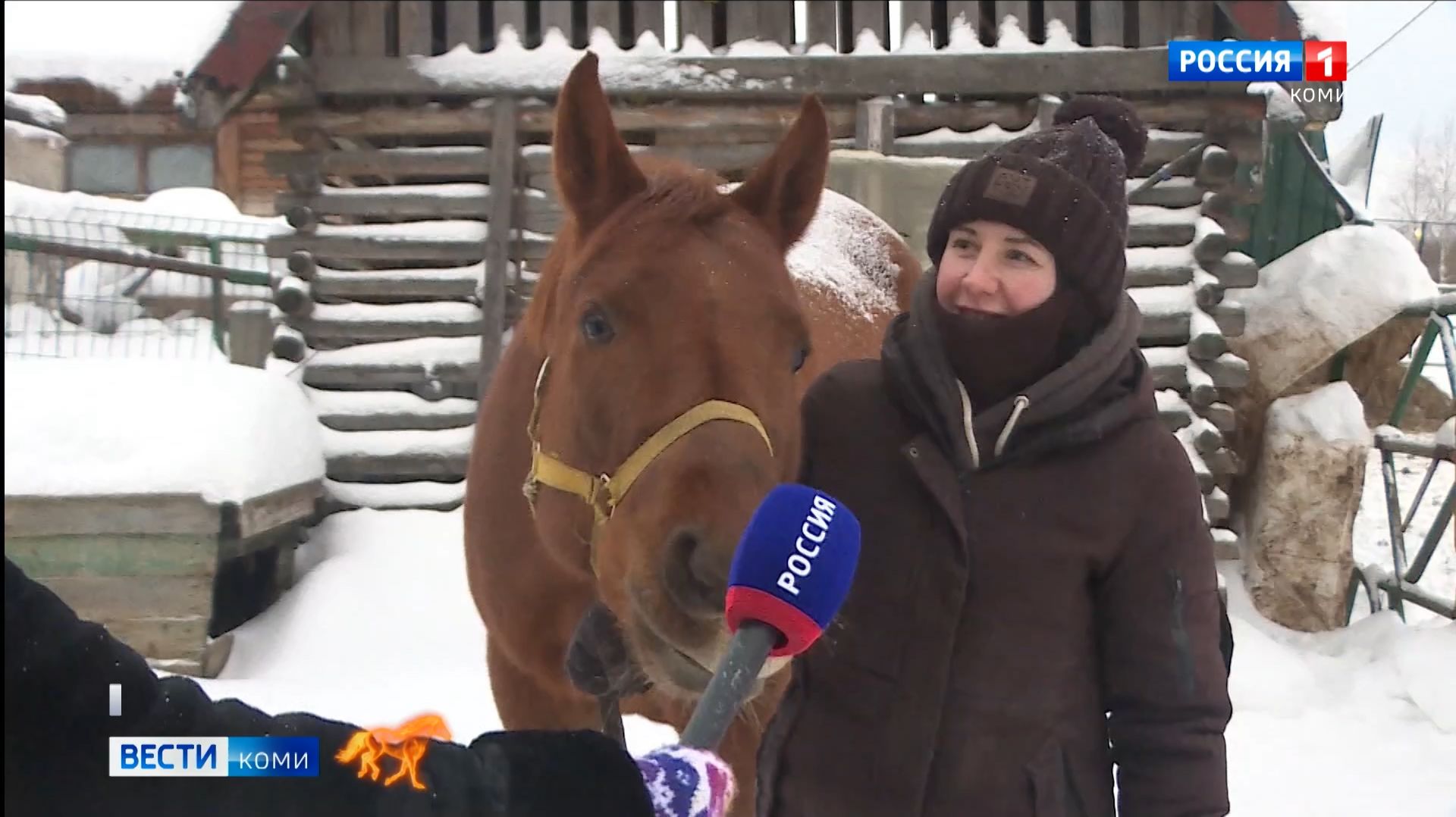 Команда ГТРК "Коми Гор" познакомилась с символом 2026 года