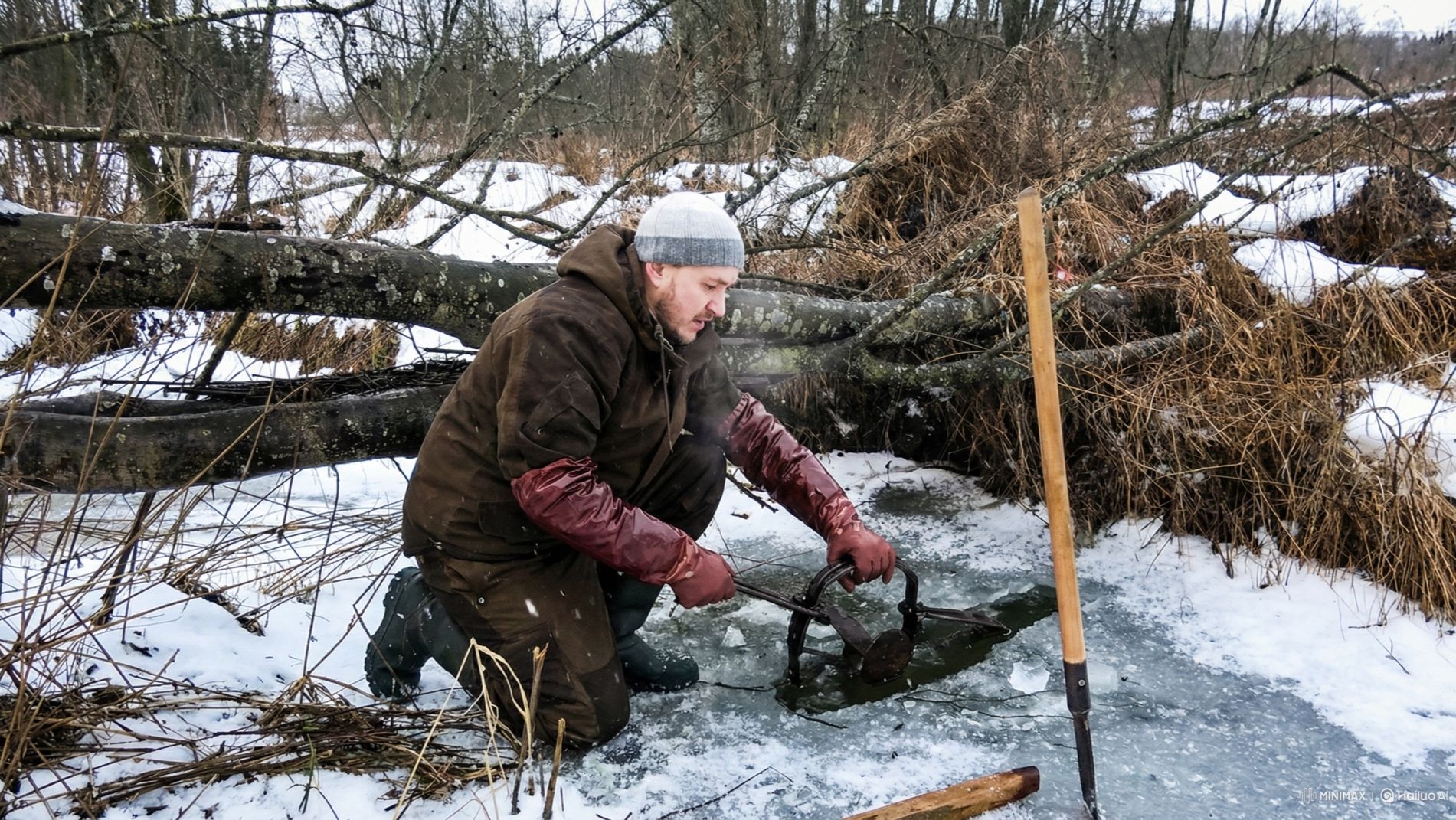Установка-проверка капканов на бобра / Охота на бобра #49.3